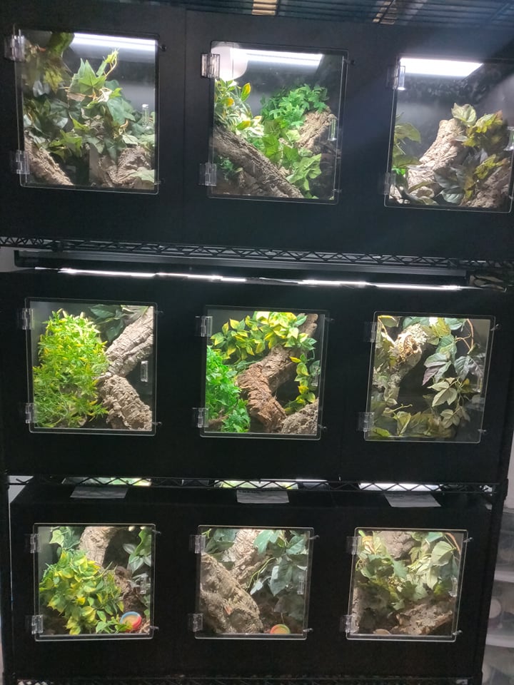 15"x16"x18" PVC Cage – D.W.Geckos & Terraria Cont