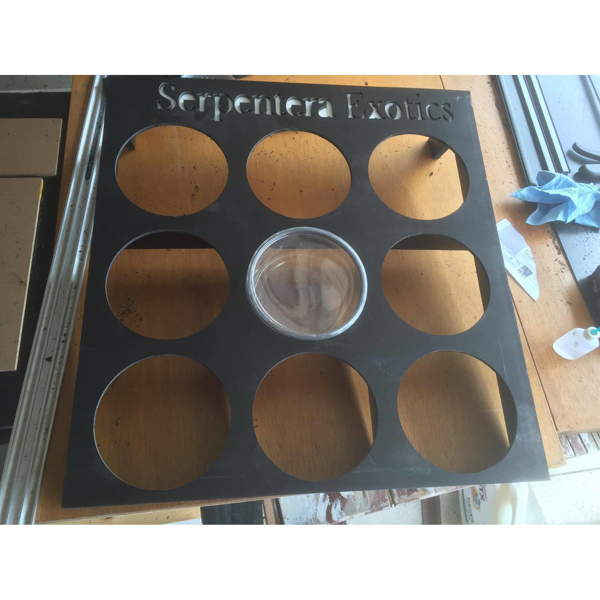 (9 cup) 6.75" Deli-Cup Display-Open Face – D.W.Geckos & Terraria Cont